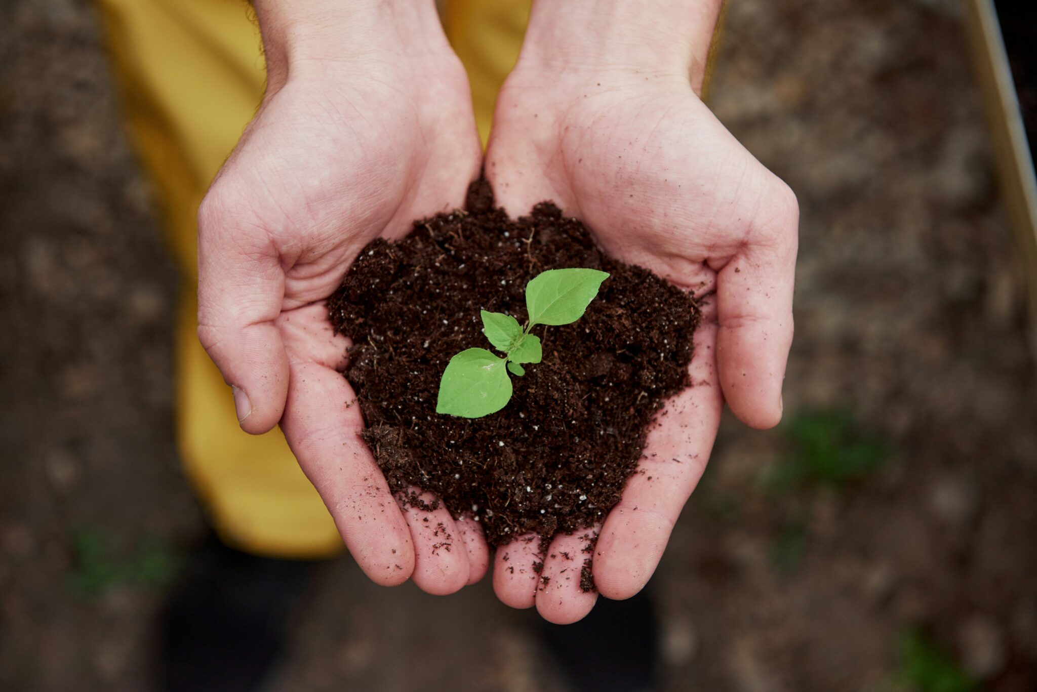 sustainable-landscaping-eco-friendly-design