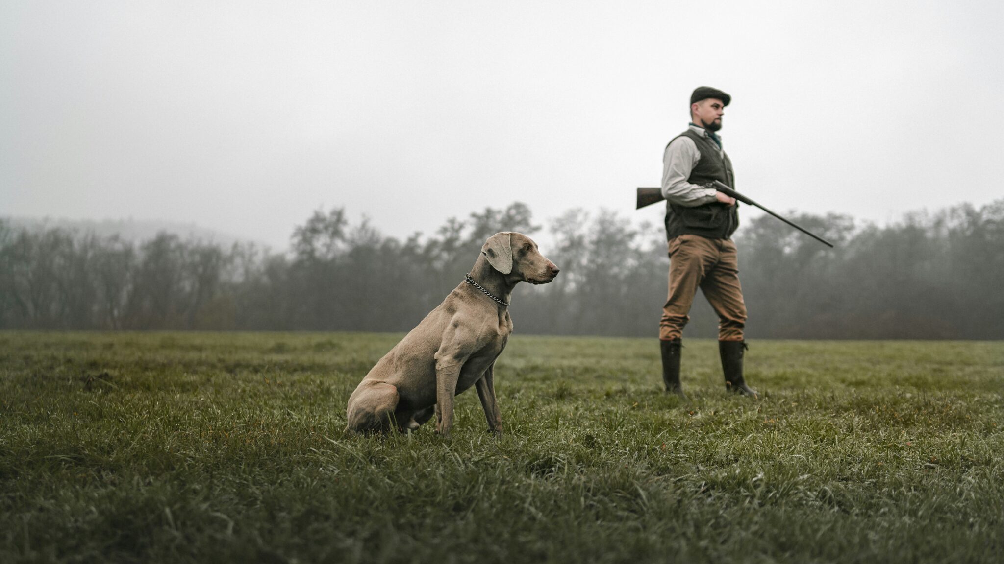 A Guide to Responsible and Sustainable Hunting Practices