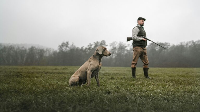 A Guide to Responsible and Sustainable Hunting Practices